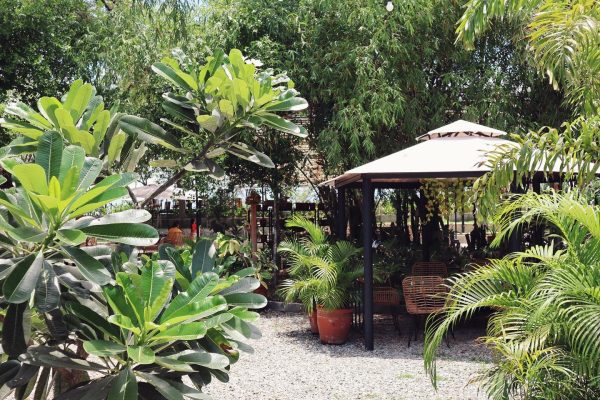 Where to Eat in La Union 2023: Elyu Foodie Destinations