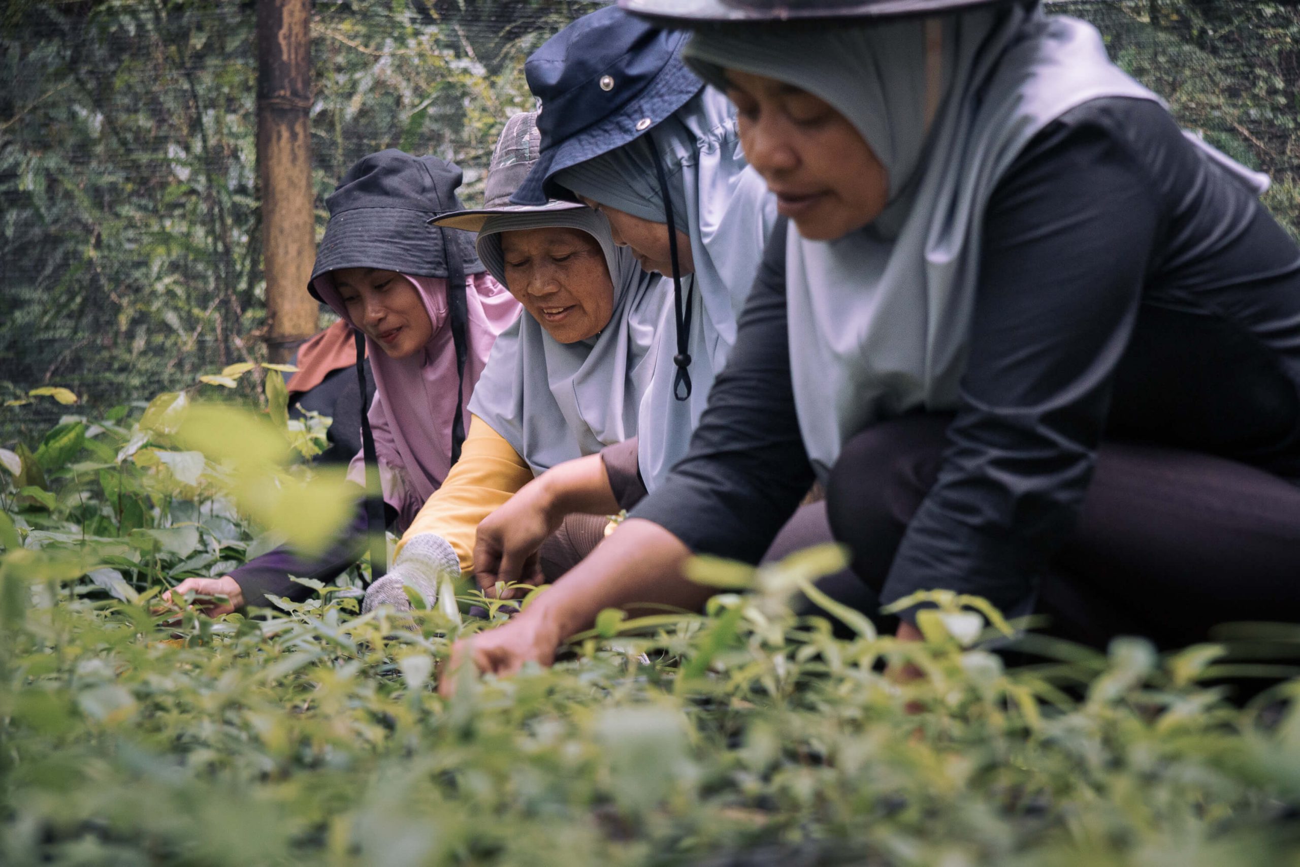 IWD 2024: Empowering Women Leadership in Conservation - Mommy Iris ...